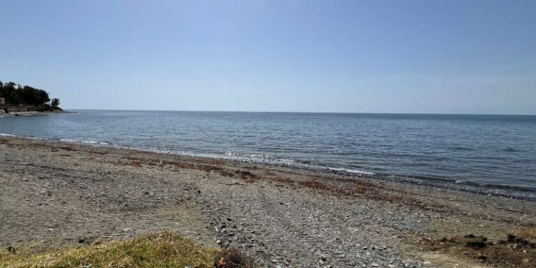 Things to do with Children in Estepona - Estepona Life.